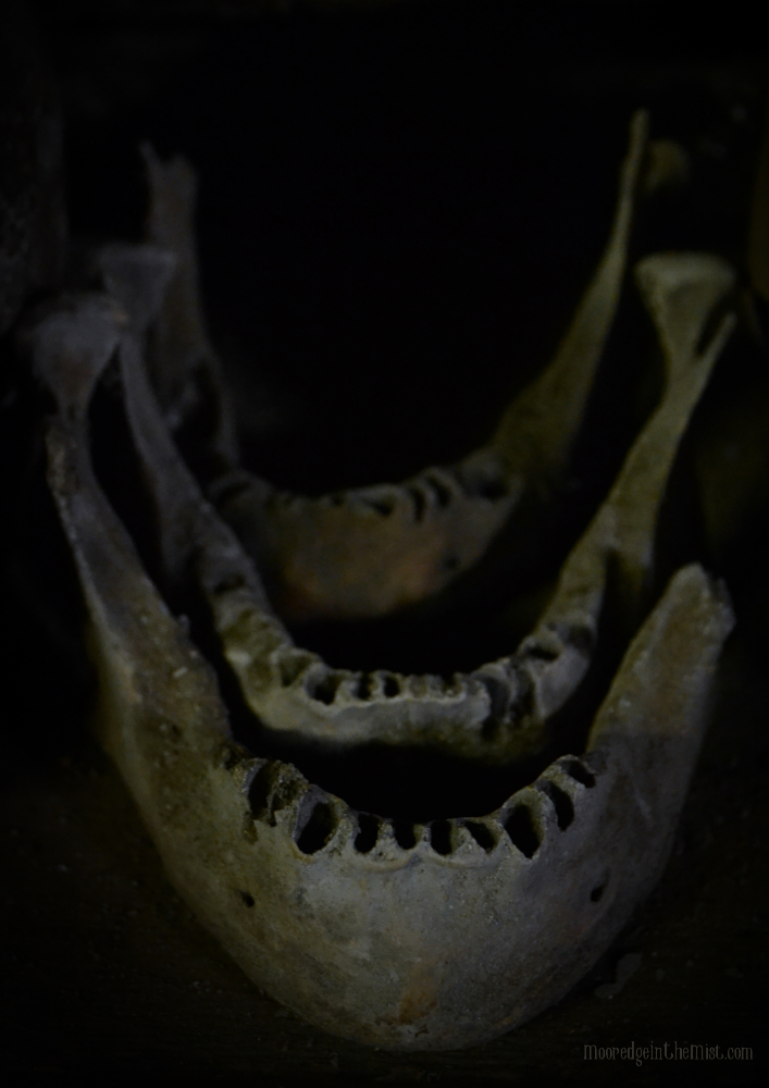 Secrets of the Bone Crypt - Mooredge In The Mist